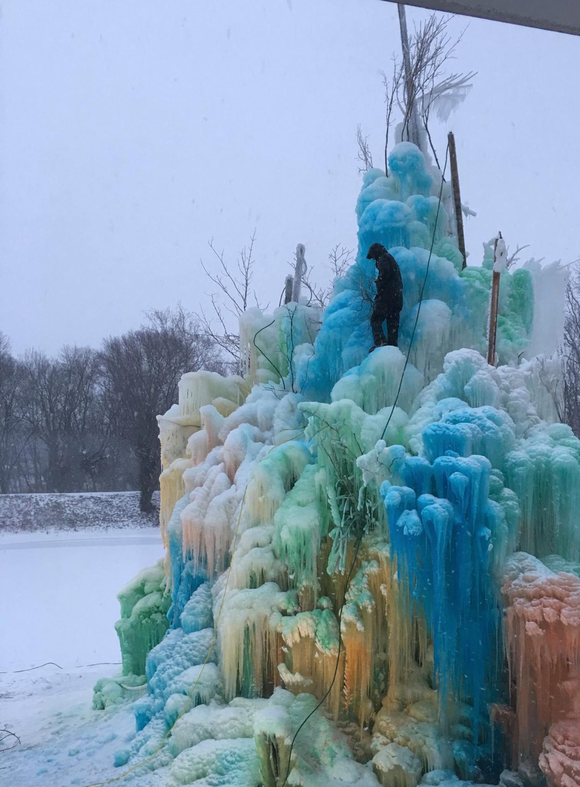 This Family Has Been Creating Beautiful Ice Trees Every Christmas, for ...