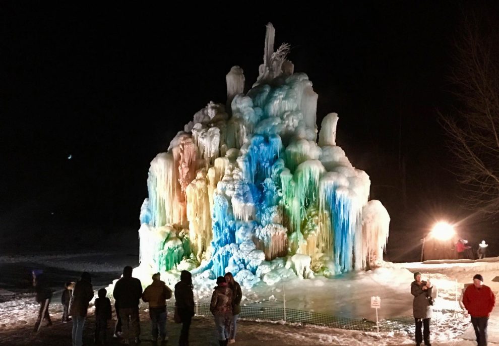 This Family Has Been Creating Beautiful Ice Trees Every Christmas, for ...