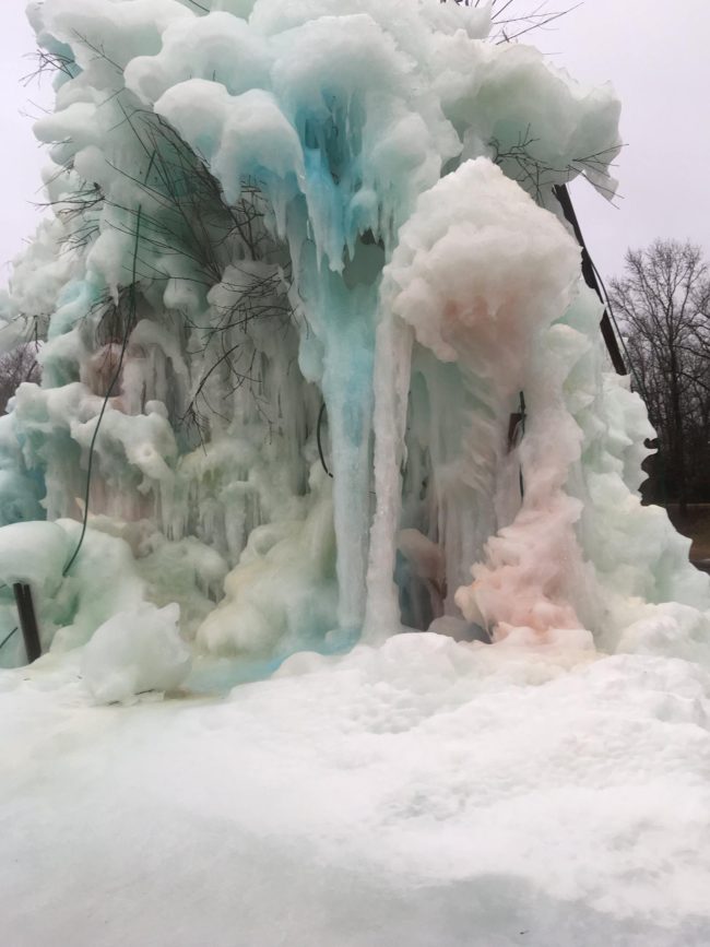 This Family Has Been Creating Beautiful Ice Trees Every Christmas, for ...