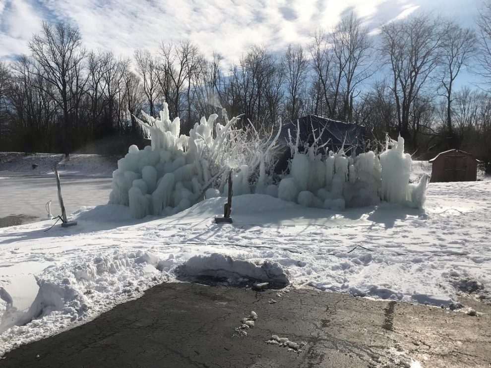 This Family Has Been Creating Beautiful Ice Trees Every Christmas, for ...