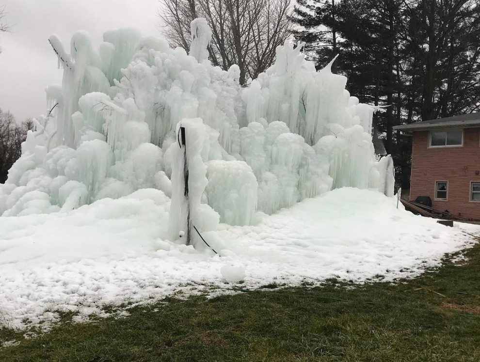 This Family Has Been Creating Beautiful Ice Trees Every Christmas, for ...