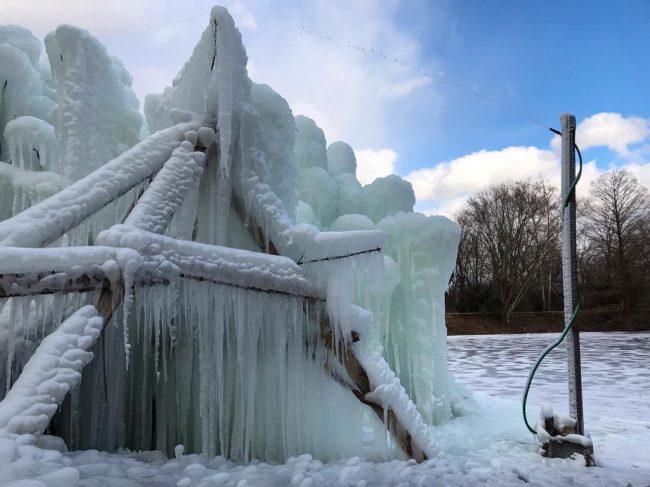 This Family Has Been Creating Beautiful Ice Trees Every Christmas, for ...
