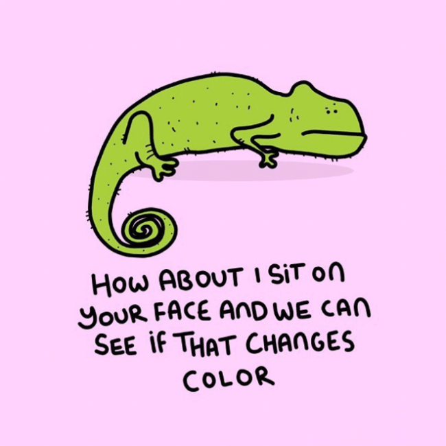 “100 Grumpy Animals”: Artist Draws a Grumpy Animal For Each Day of 2020 ...