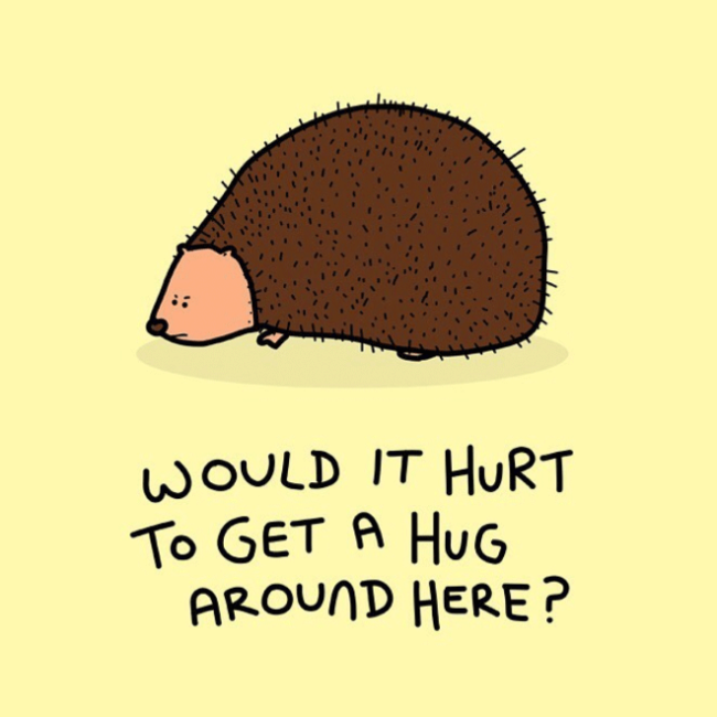 “100 Grumpy Animals”: Artist Draws a Grumpy Animal For Each Day of 2020 ...