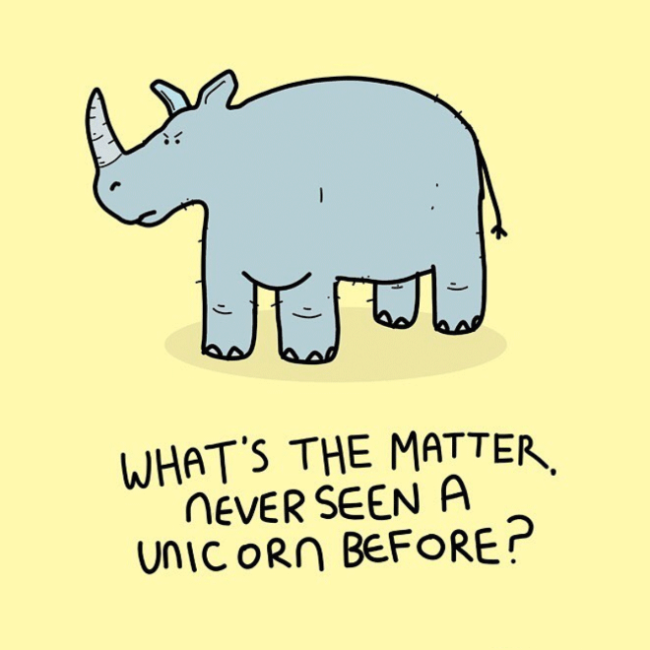 “100 Grumpy Animals”: Artist Draws a Grumpy Animal For Each Day of 2020 ...