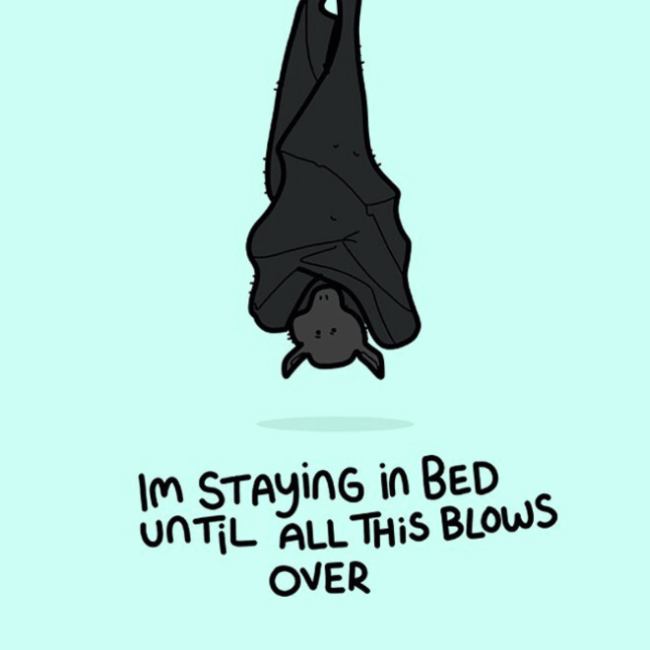 “100 Grumpy Animals”: Artist Draws a Grumpy Animal For Each Day of 2020 ...