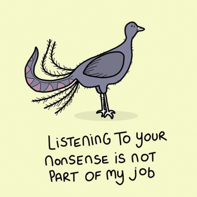 “100 Grumpy Animals”: Artist Draws a Grumpy Animal For Each Day of 2020 ...