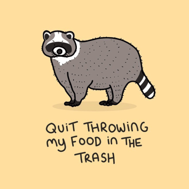 “100 Grumpy Animals”: Artist Draws a Grumpy Animal For Each Day of 2020 ...