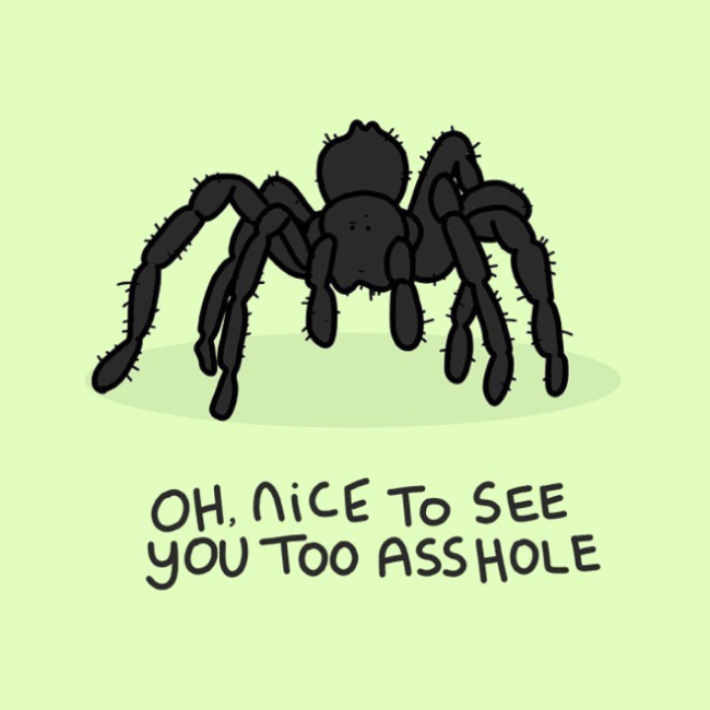 “100 Grumpy Animals”: Artist Draws a Grumpy Animal For Each Day of 2020 ...