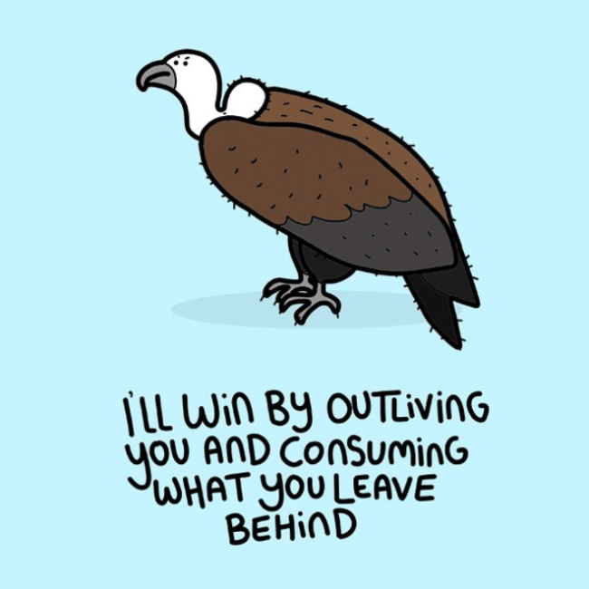 “100 Grumpy Animals”: Artist Draws a Grumpy Animal For Each Day of 2020 ...