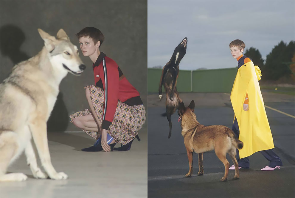 The Animal Issue: Vogue Italia Presents an Issue Dedicated to The ...