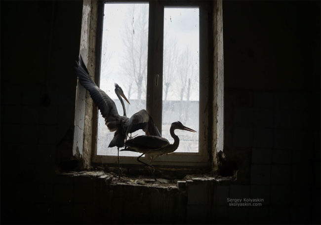 Trying to Understand the Mysterious Russian Soul with Amazing ...