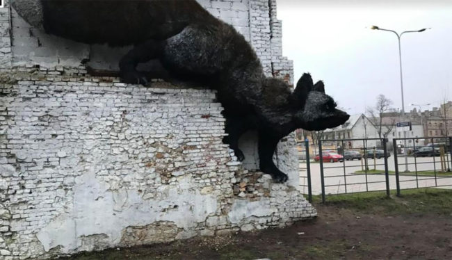 An Unusual Art Object – a Giant Black Fox Appeared in Riga, Latvia ...