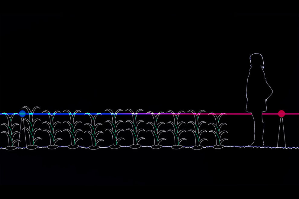 Thousands of Colored LEDs Turn Dutch Farmland Into Nighttime Wonderland ...