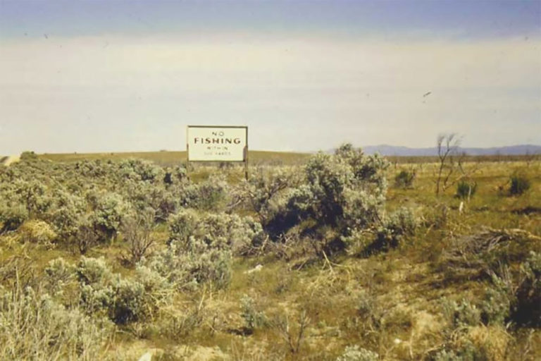 These Humorous Stinker Station Signs Helped to Provide Comic Relief for ...