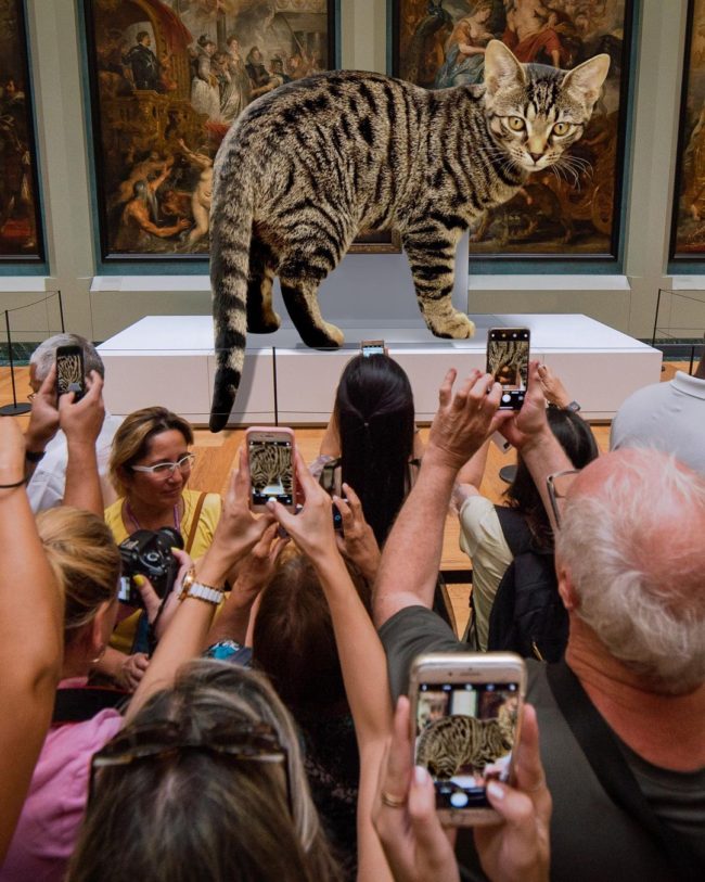 Artist Matt McCarthy Uses Photoshop To Create Surreal Giant Cat ...