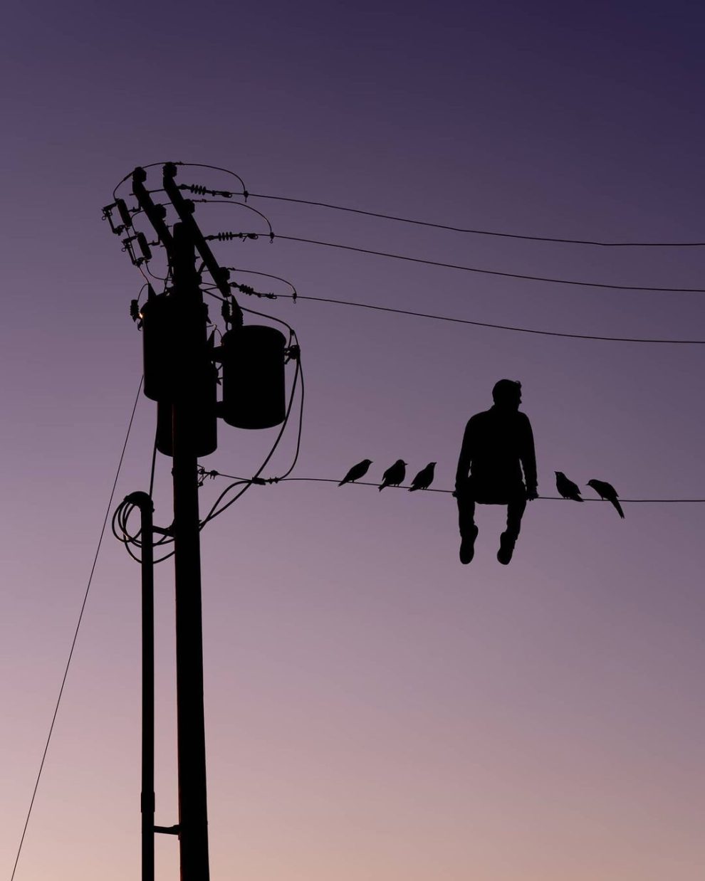 Artist John Marshall Made These Selfie Cardboard Cutouts At Sunset To ...