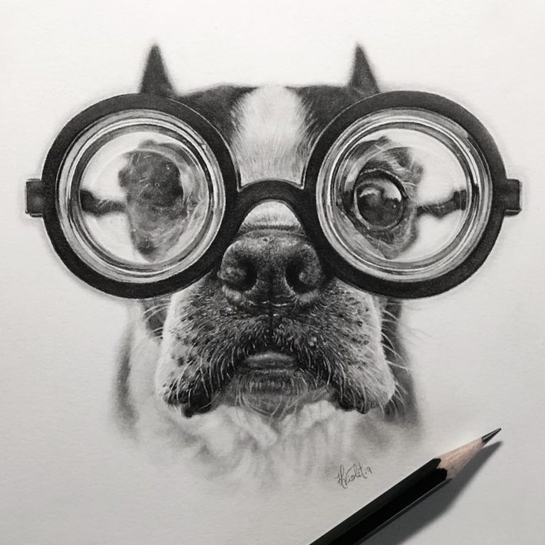 Hyper-Realistic Animal Pencil Drawings By Helen Violet » Design You ...
