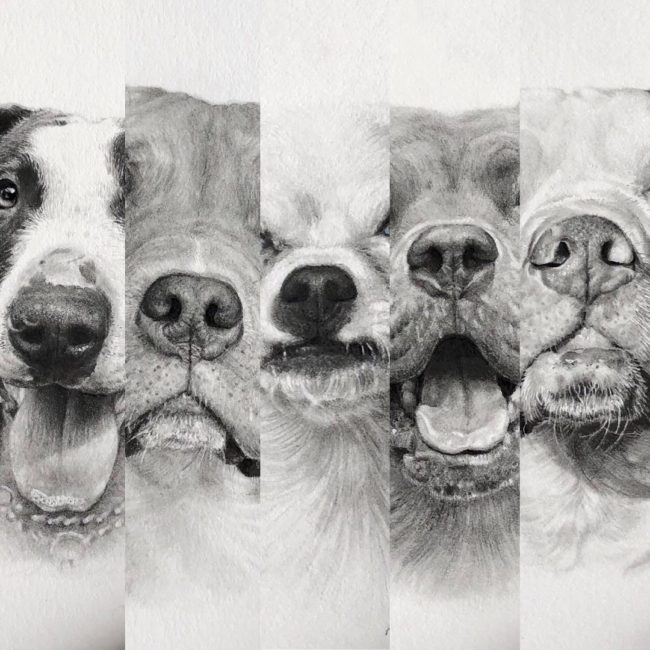 Hyper-Realistic Animal Pencil Drawings By Helen Violet » Design You ...