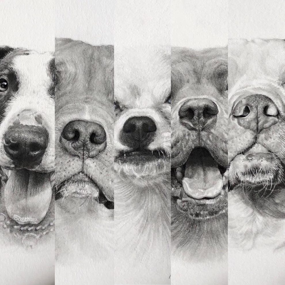 Hyper-Realistic Animal Pencil Drawings By Helen Violet » Design You ...