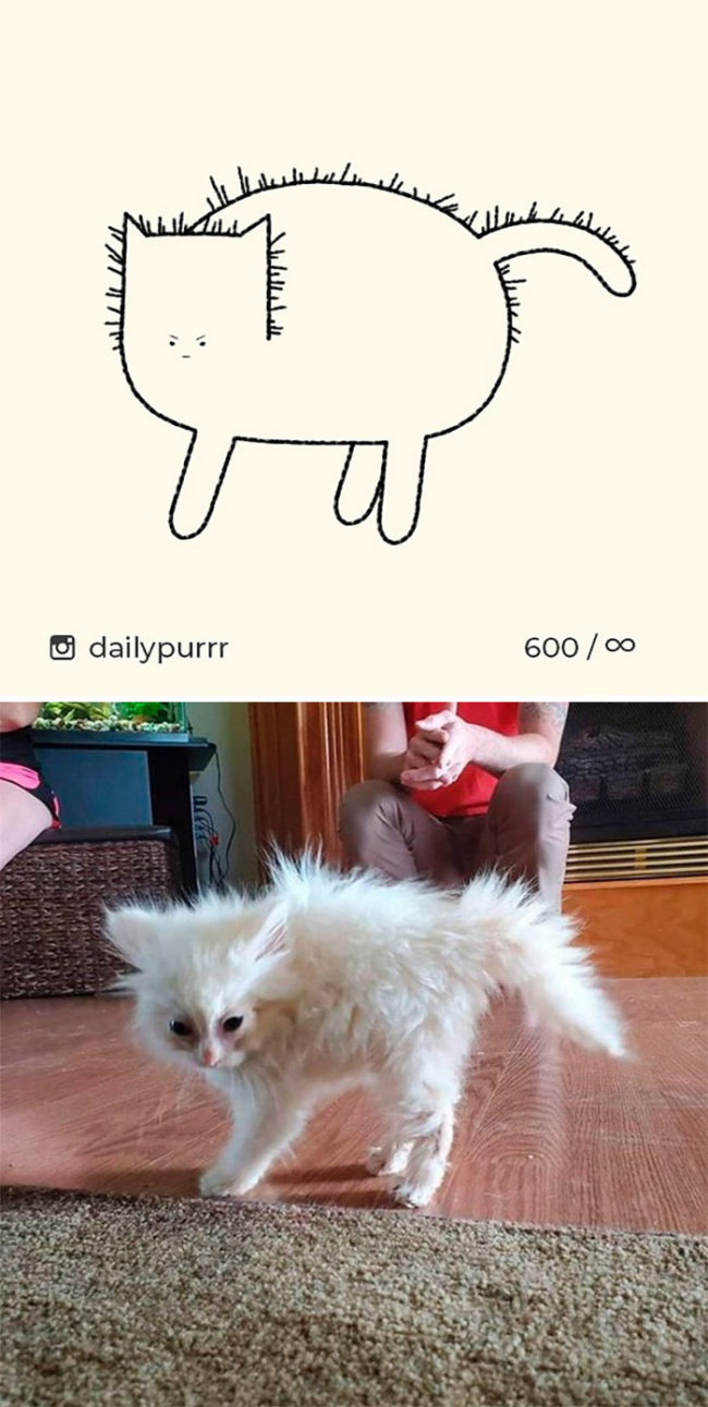 Here Are 40 Really Bad Cat Drawings To Make You Laugh » Design You ...