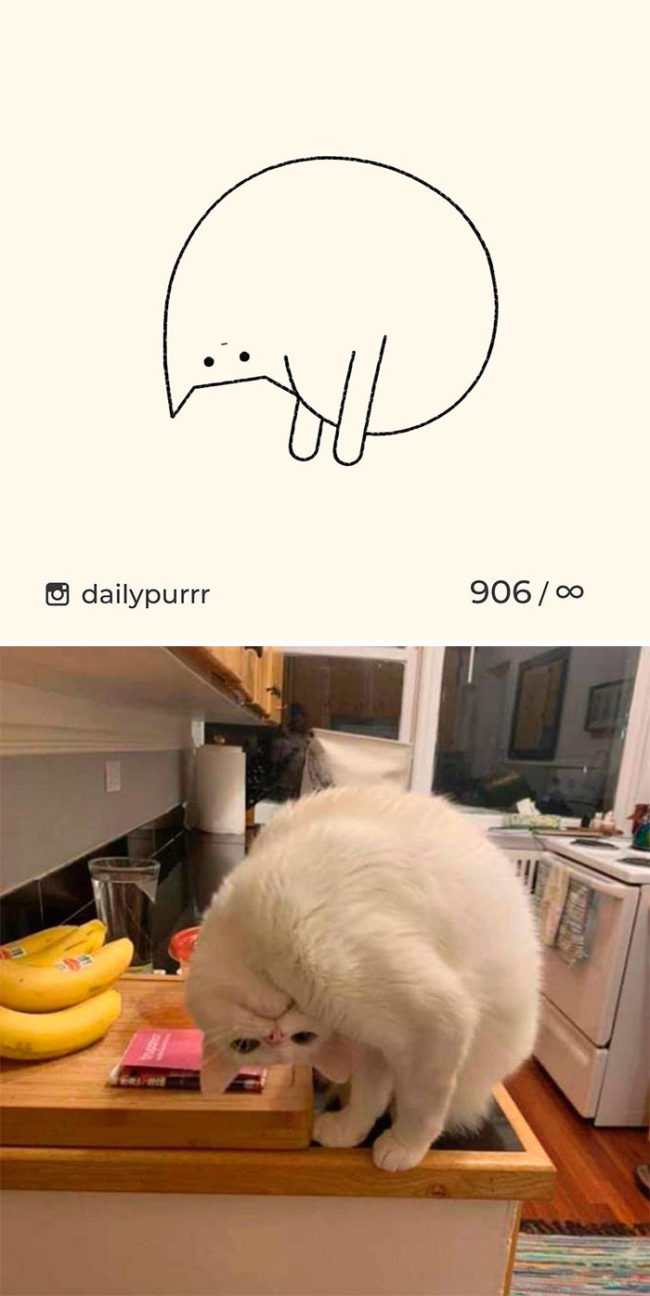 Here Are 40 Really Bad Cat Drawings To Make You Laugh » Design You ...