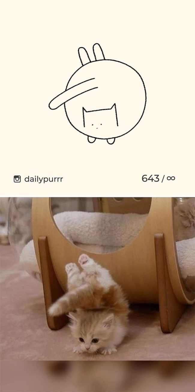 Here Are 40 Really Bad Cat Drawings To Make You Laugh » Design You ...