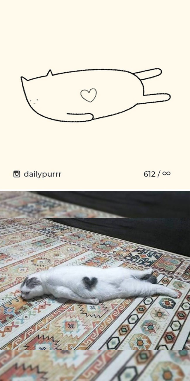 Here Are 40 Really Bad Cat Drawings To Make You Laugh » Design You ...