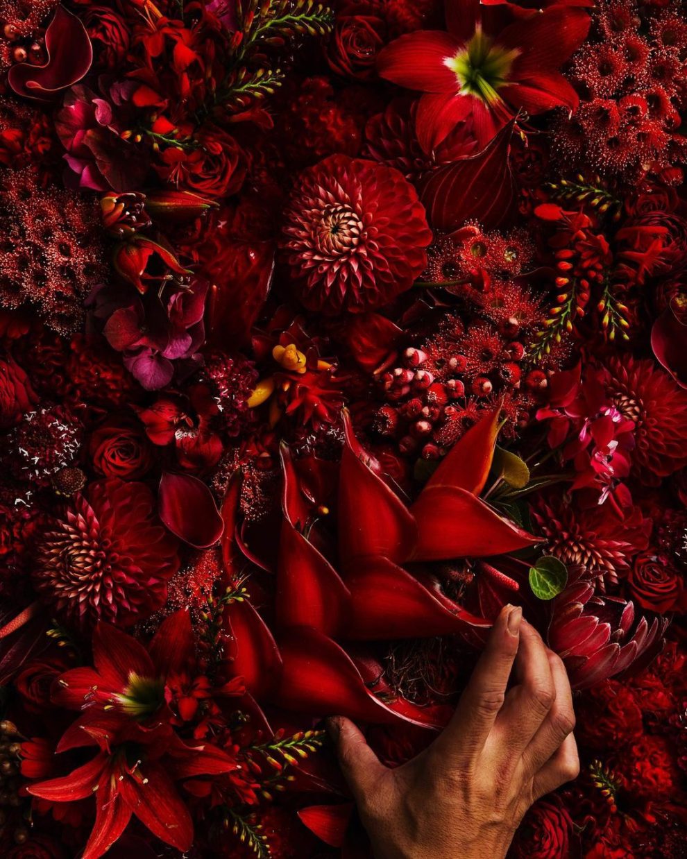 Japanese Artist Azuma Makoto Will Make You Rethink Flowers » Design You ...
