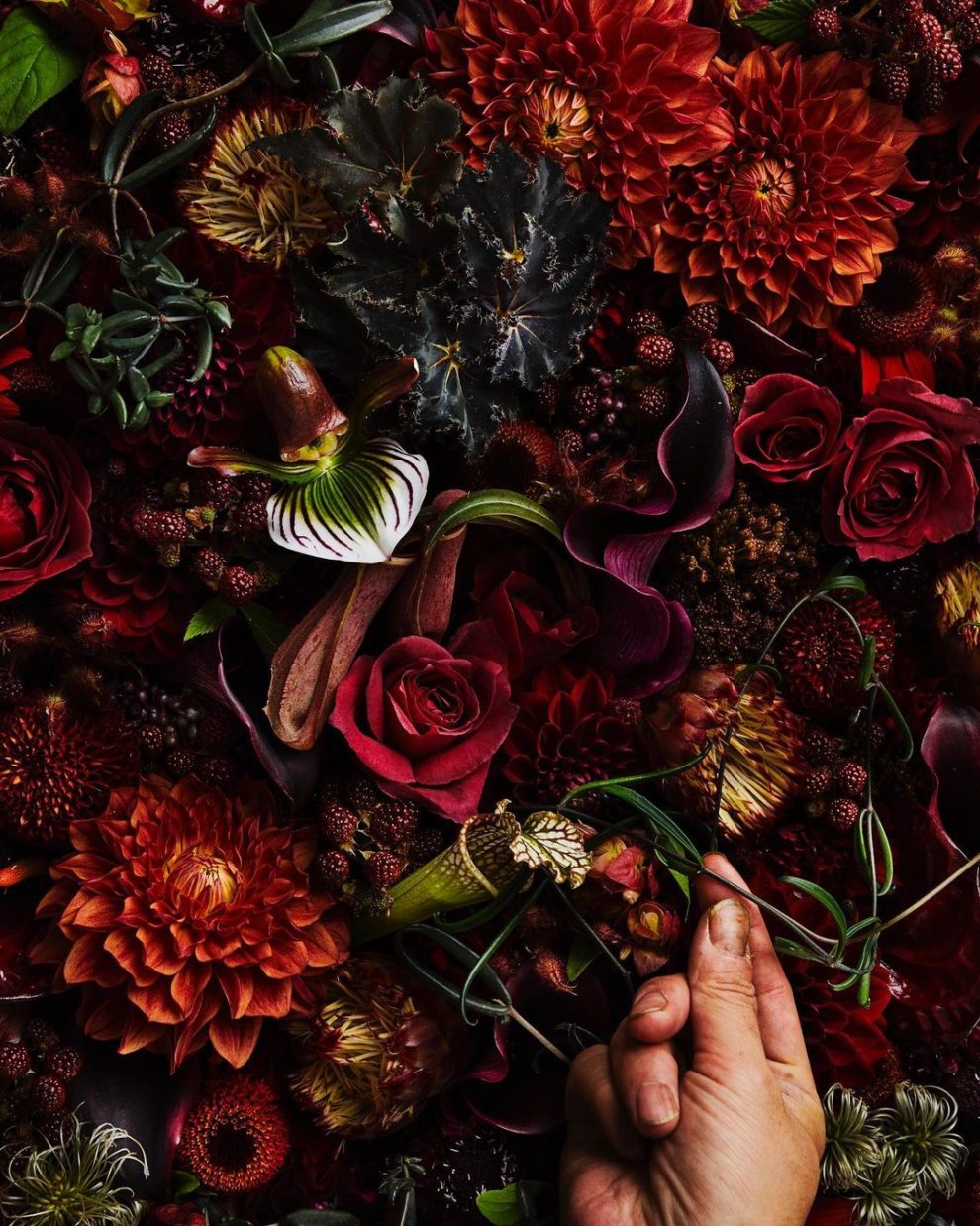 Japanese Artist Azuma Makoto Will Make You Rethink Flowers » Design You ...