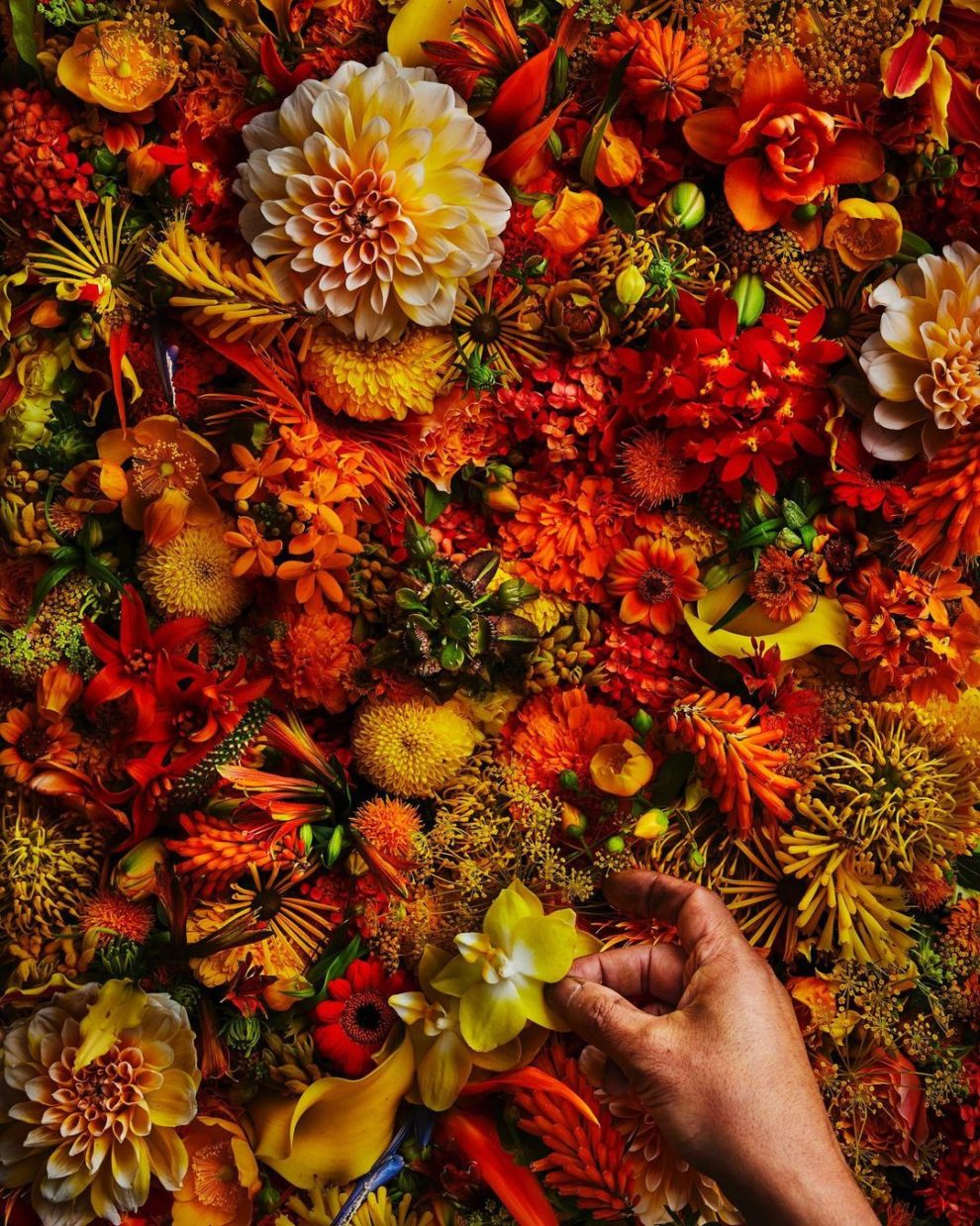 Japanese Artist Azuma Makoto Will Make You Rethink Flowers » Design You ...