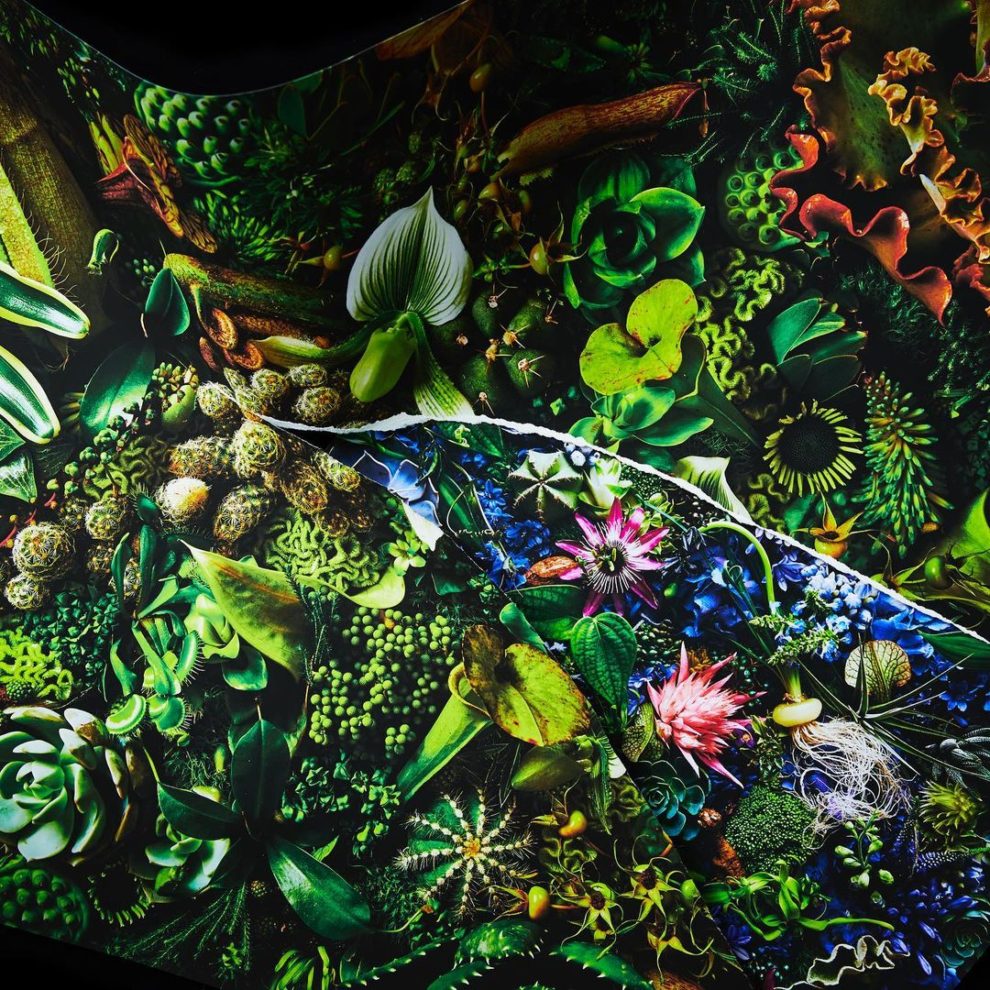 Japanese Artist Azuma Makoto Will Make You Rethink Flowers » Design You ...