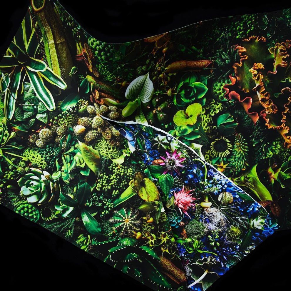 Japanese Artist Azuma Makoto Will Make You Rethink Flowers » Design You ...