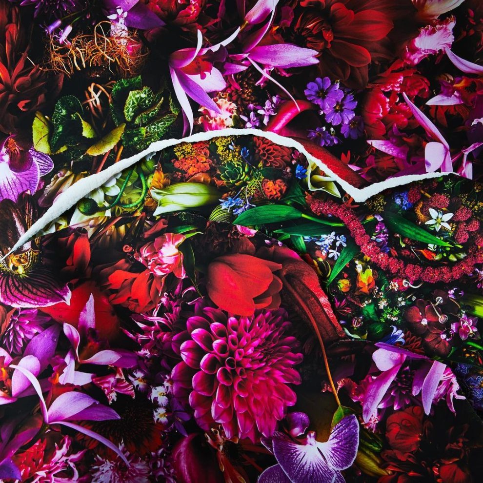 Japanese Artist Azuma Makoto Will Make You Rethink Flowers » Design You ...