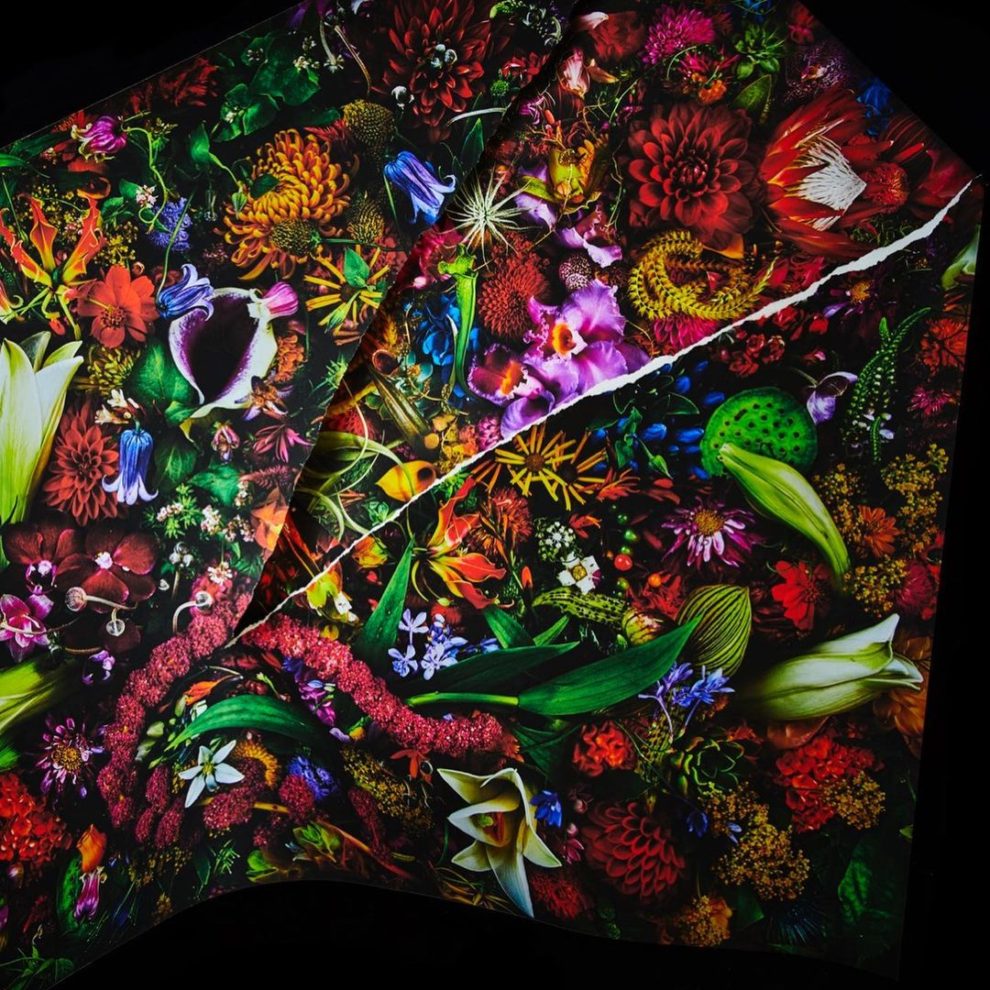 Japanese Artist Azuma Makoto Will Make You Rethink Flowers » Design You ...