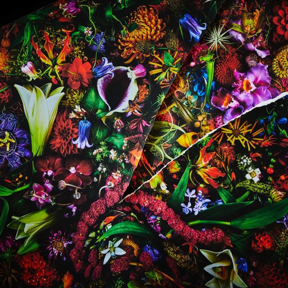Japanese Artist Azuma Makoto Will Make You Rethink Flowers » Design You ...
