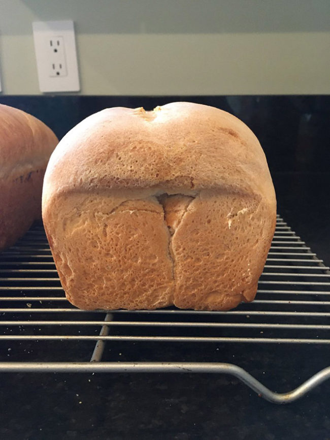 The World’s Greatest Gallery of Bread Butts » Design You Trust — Design ...