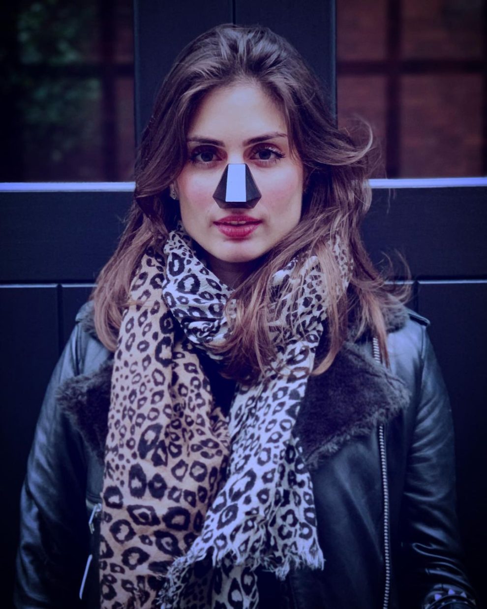 Funny Air Filter Gives You a Dog Nose Filter in Real Life » Design You ...