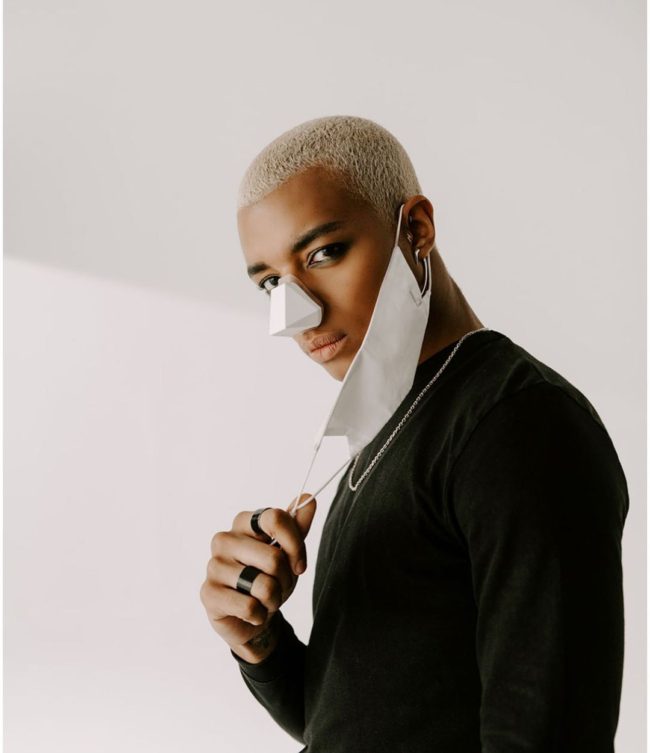 Funny Air Filter Gives You a Dog Nose Filter in Real Life » Design You ...