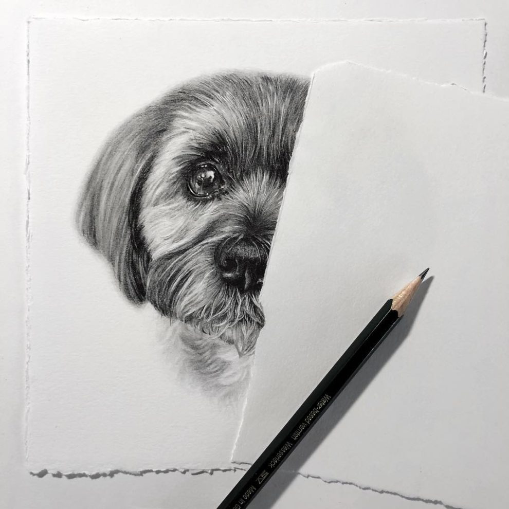 Hyper-Realistic Animal Pencil Drawings By Helen Violet » Design You ...