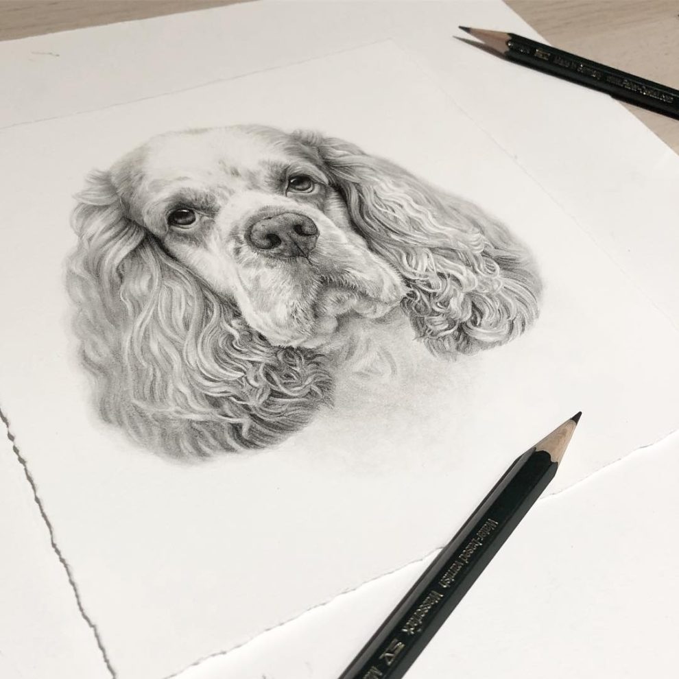 Hyper-Realistic Animal Pencil Drawings By Helen Violet » Design You ...