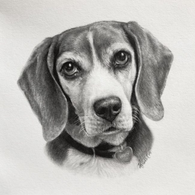 Hyper-Realistic Animal Pencil Drawings By Helen Violet » Design You ...