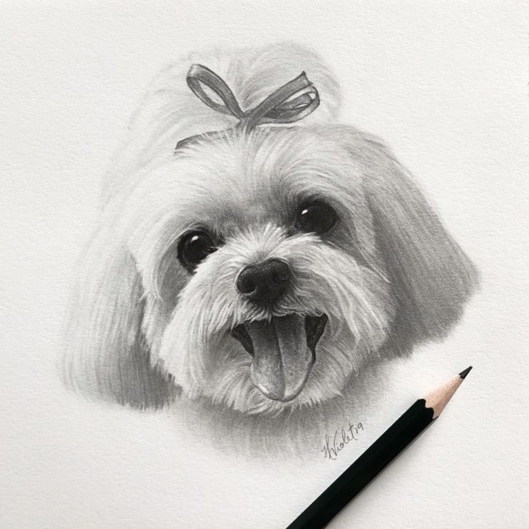 Hyper-Realistic Animal Pencil Drawings By Helen Violet » Design You ...