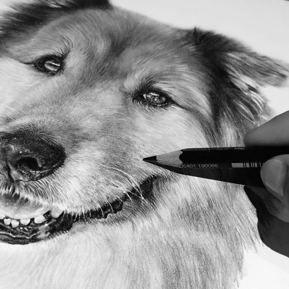 Hyper-Realistic Animal Pencil Drawings By Helen Violet » Design You ...