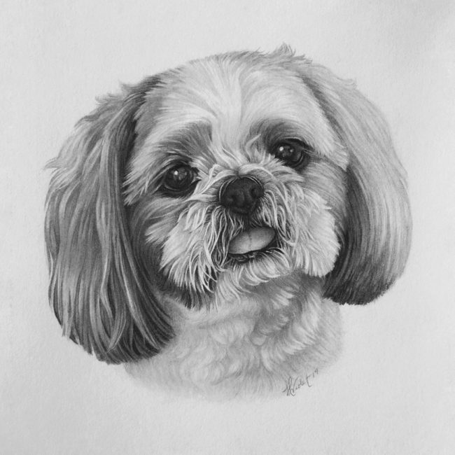 Hyper-Realistic Animal Pencil Drawings By Helen Violet » Design You ...