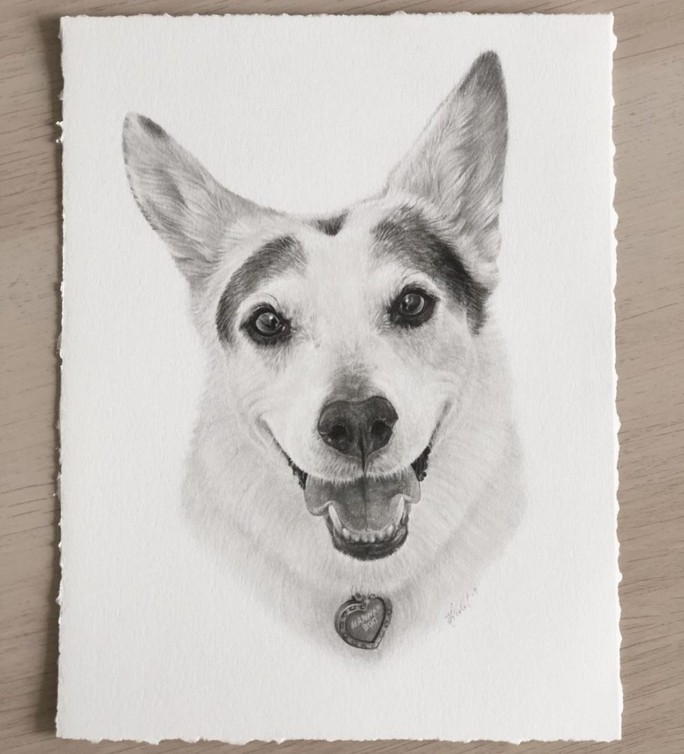 Hyper-Realistic Animal Pencil Drawings By Helen Violet » Design You ...