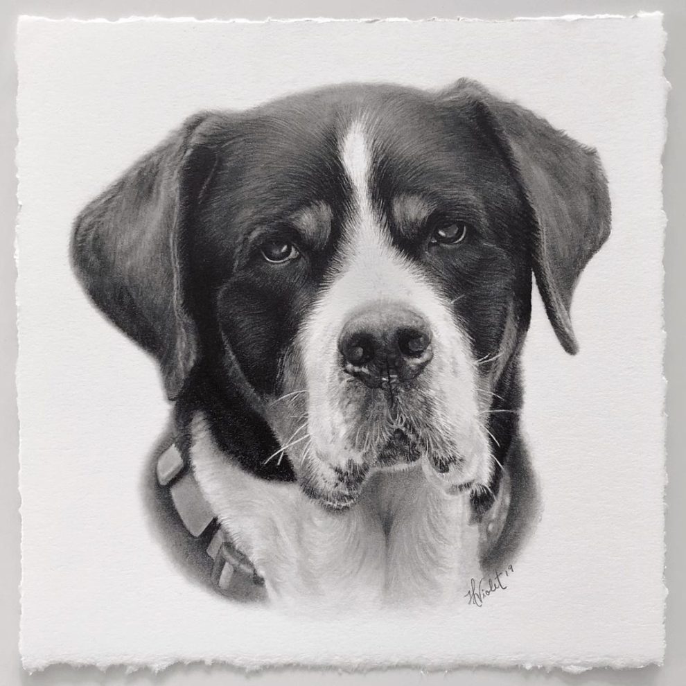 Hyper-Realistic Animal Pencil Drawings By Helen Violet » Design You ...