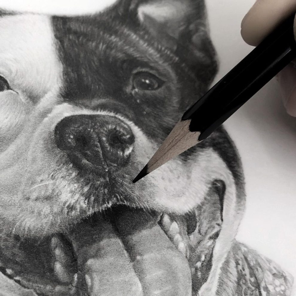 Hyper-Realistic Animal Pencil Drawings By Helen Violet » Design You ...
