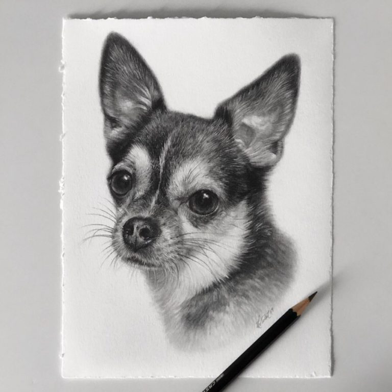 Hyper-Realistic Animal Pencil Drawings By Helen Violet » Design You ...