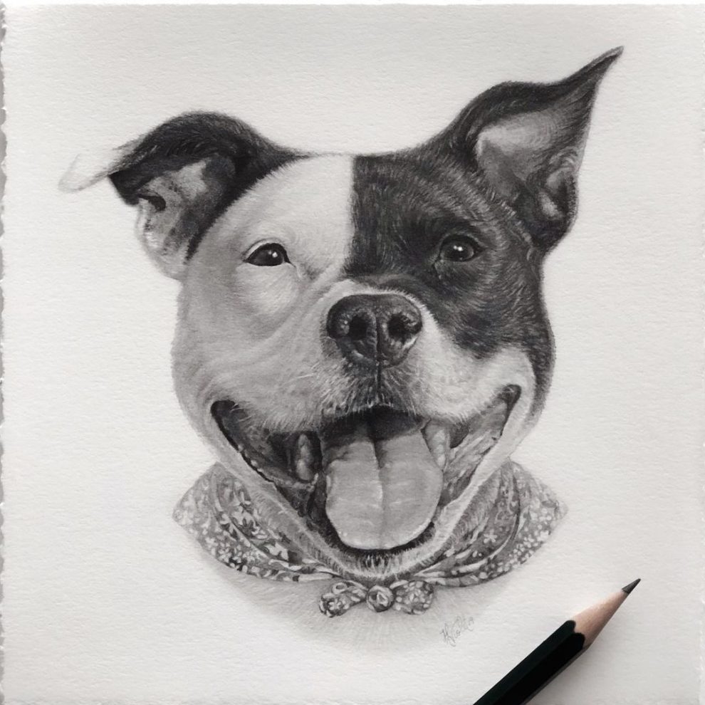 Hyper-Realistic Animal Pencil Drawings By Helen Violet » Design You ...